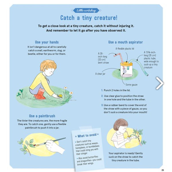 The Book of Tiny Creatures — by Nathalie Tordjman (Author), Julien Nor ...