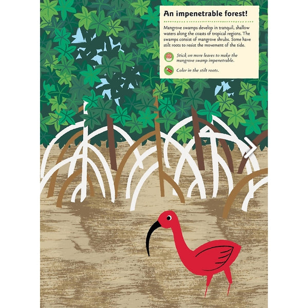 In the Forest: My Nature Sticker Activity Book - Science Activity and ...